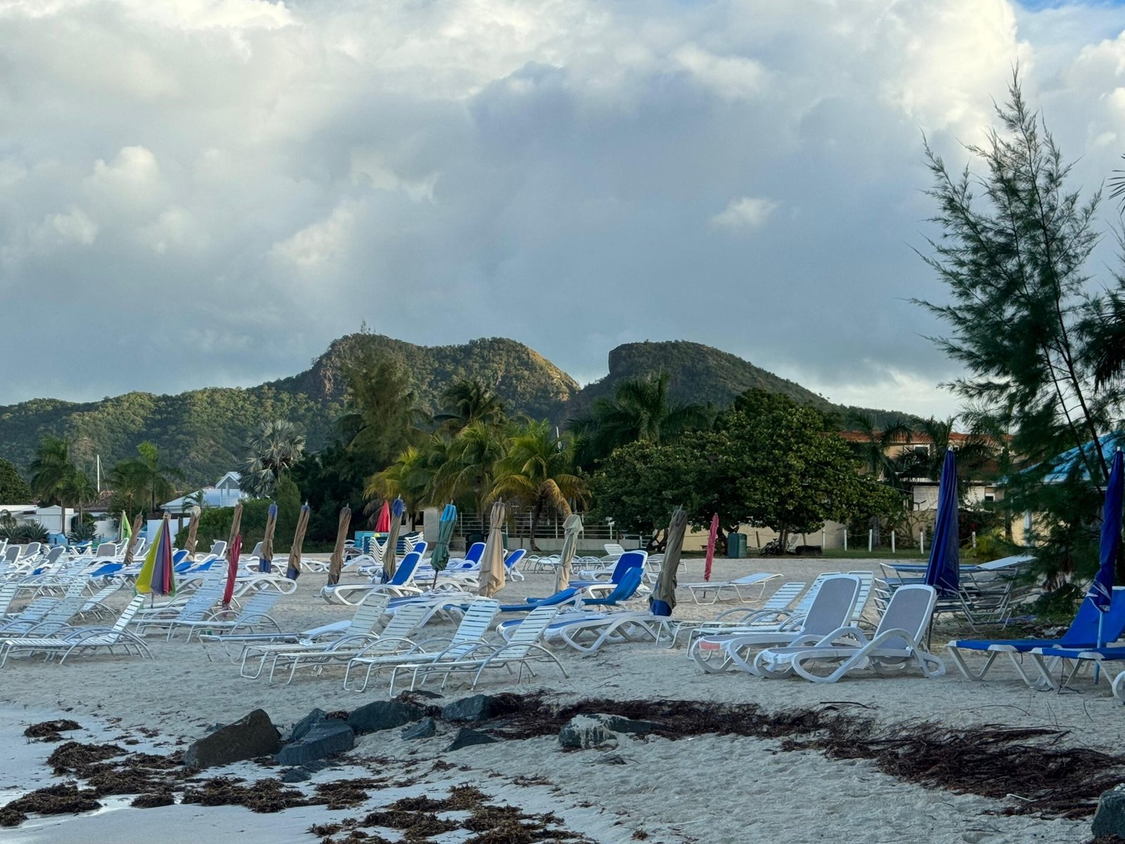 The Covenant of Trust: Social Security, Government, and the Jolly Beach ...