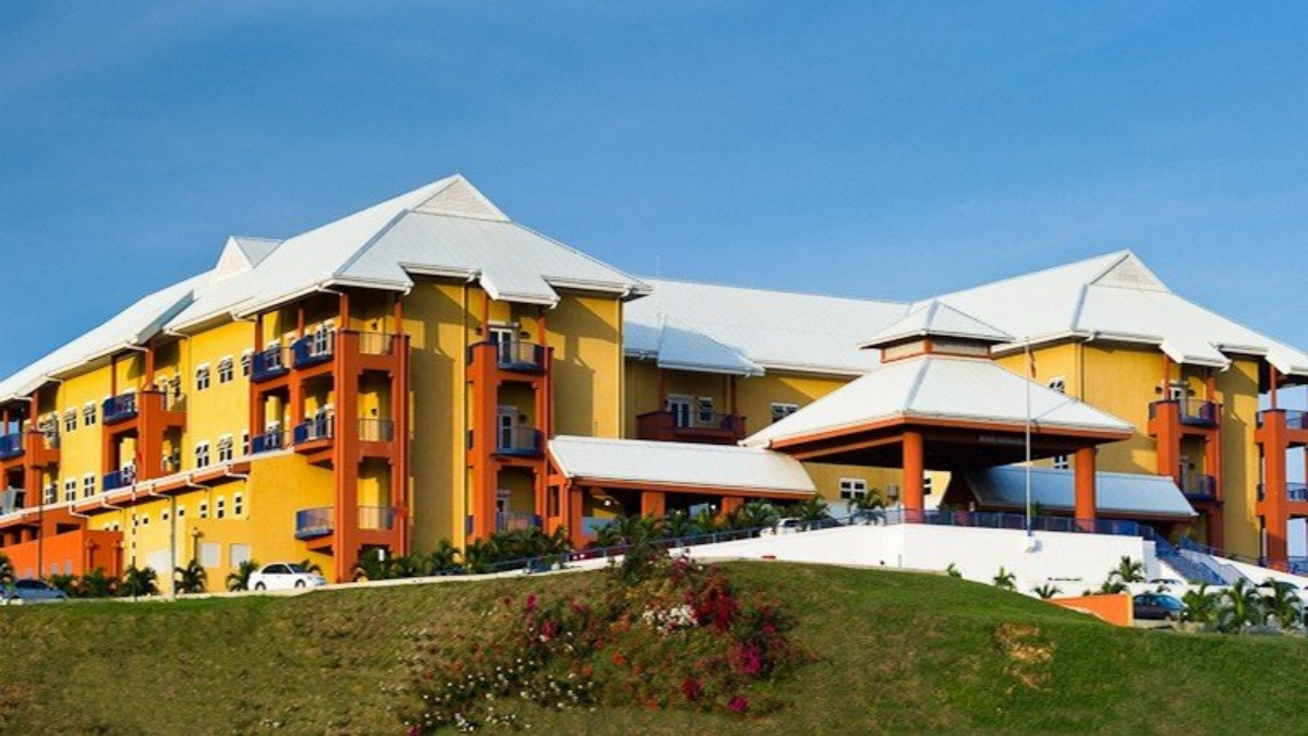 Lighting the National House on Fire - Petra the Spectator